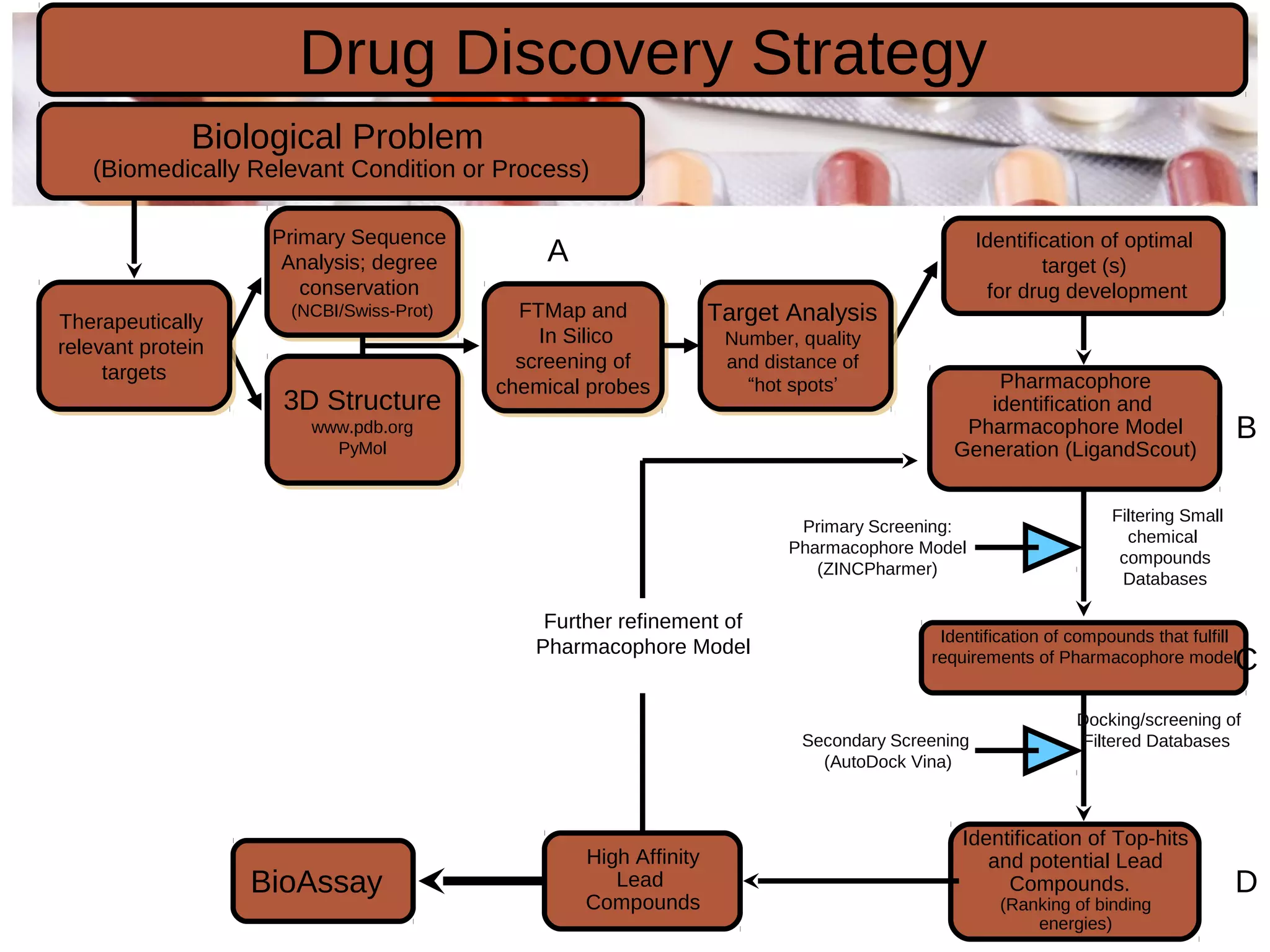 Drug discovery strategy final draft | PPT