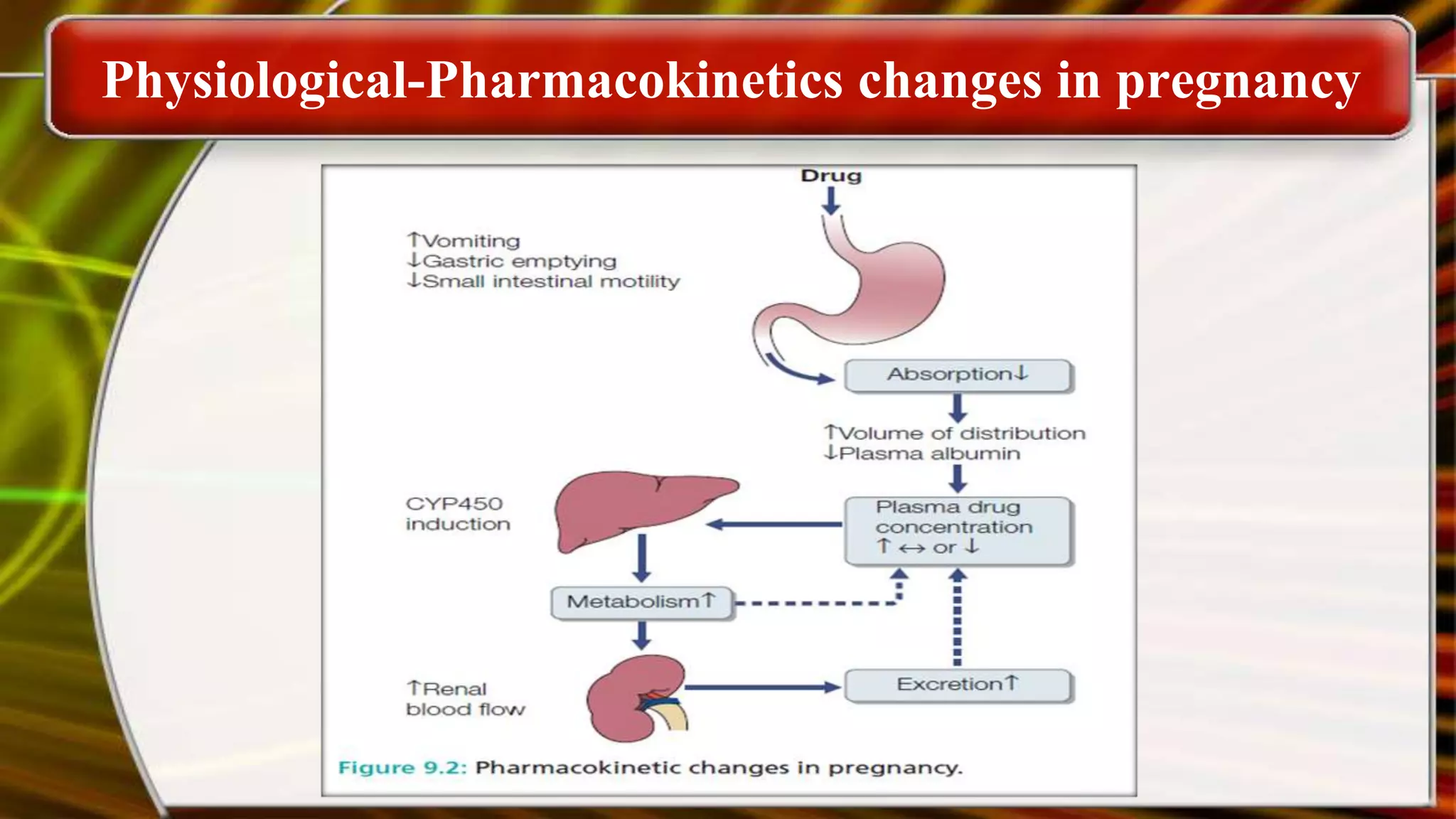 Drug disposition in pregnancy | PPT