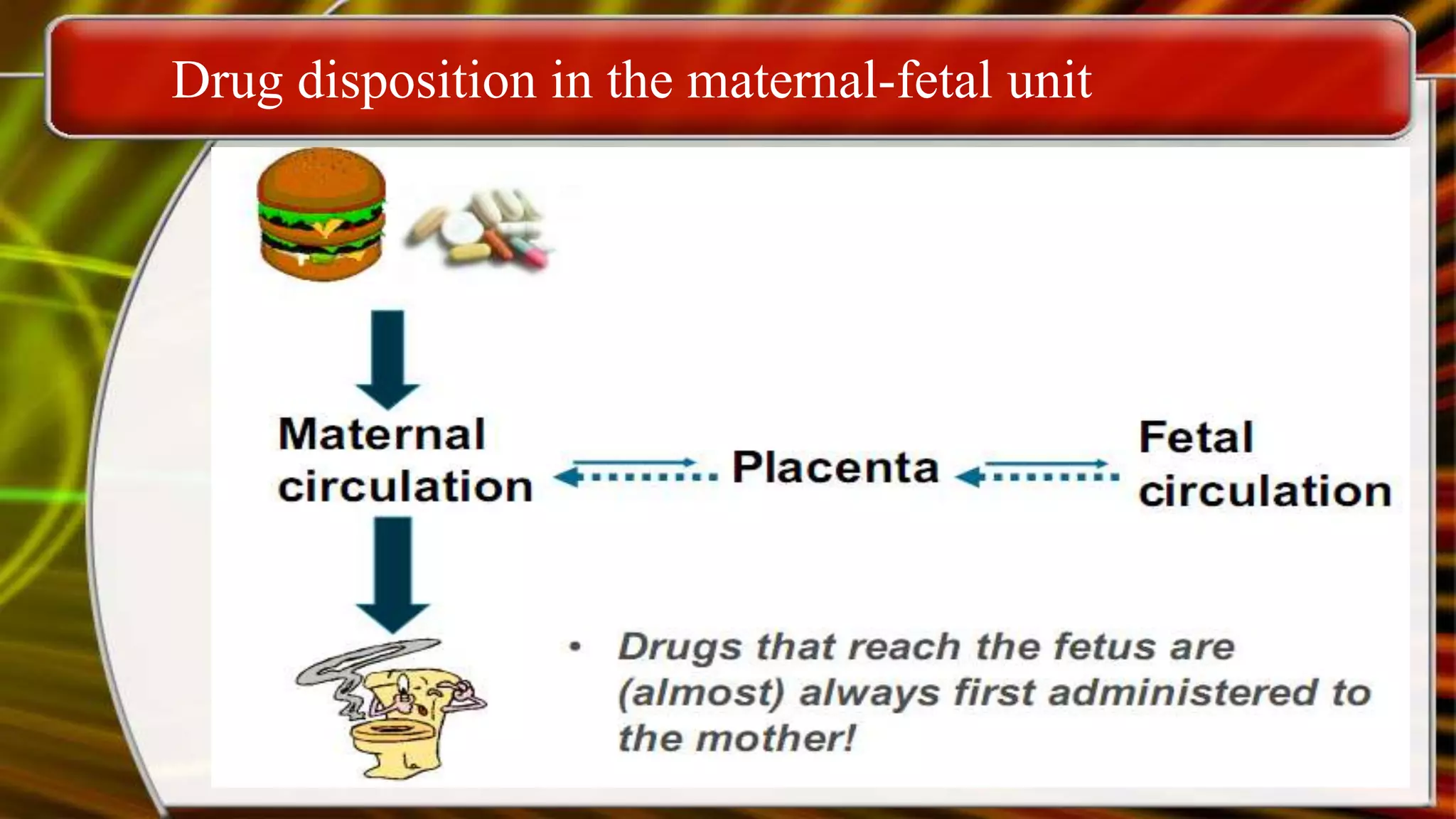 Drug disposition in pregnancy | PPT