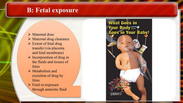Drug disposition in pregnancy | PPT