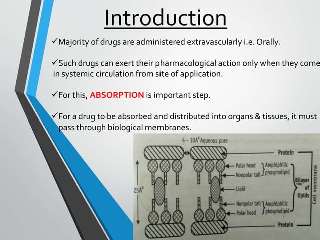 Drug Dissolution | PPTX