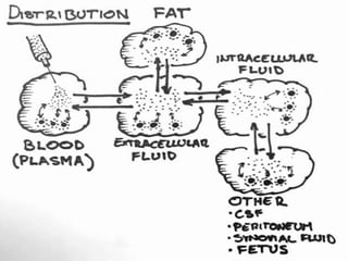 Drug distribution | PPTX