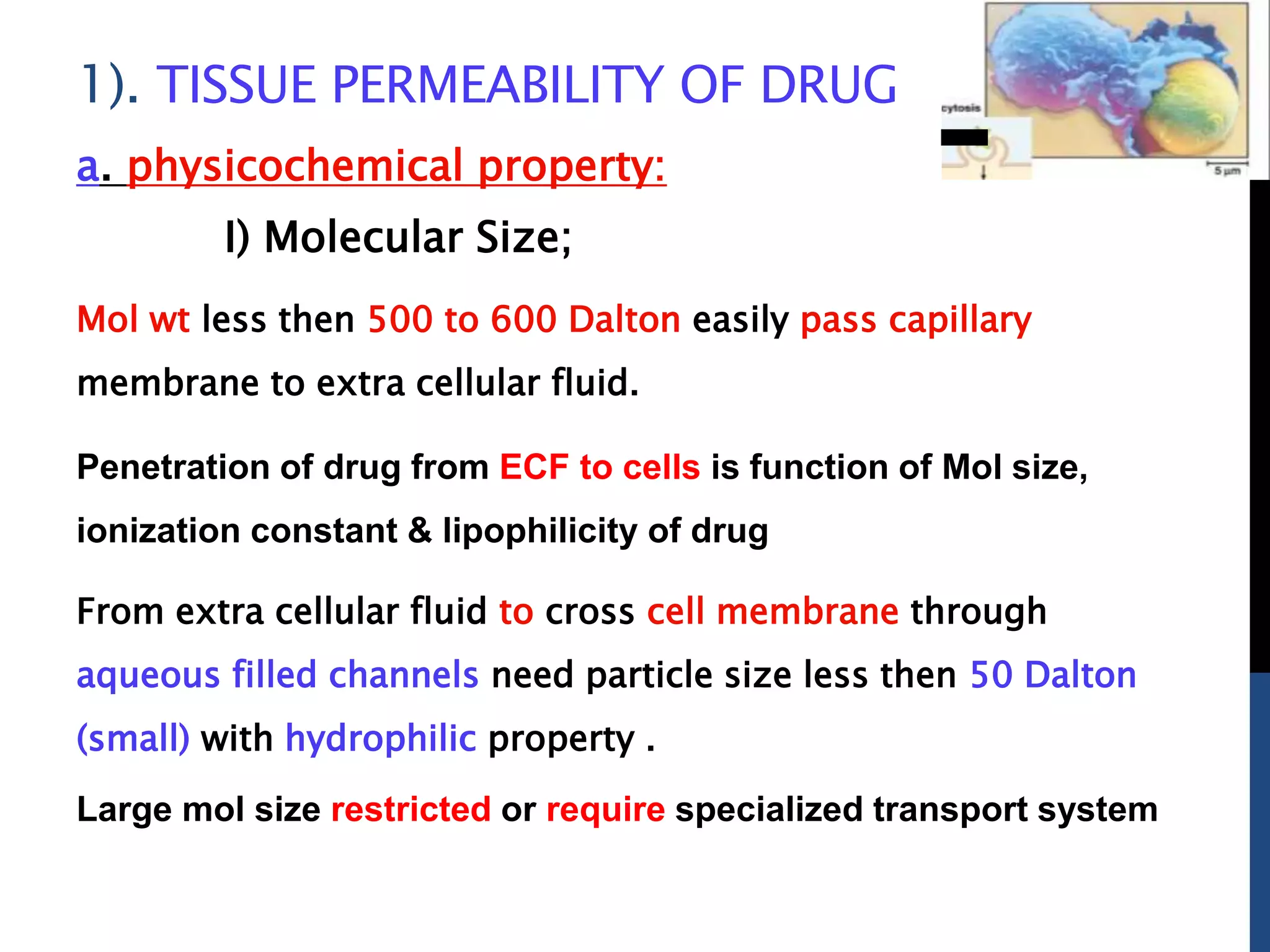 Drug distribution | PPTX