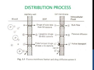 Drug distribution | PPTX