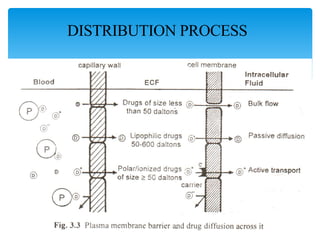 Drug distribution | PPTX