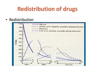 Drug Distribution | PDF
