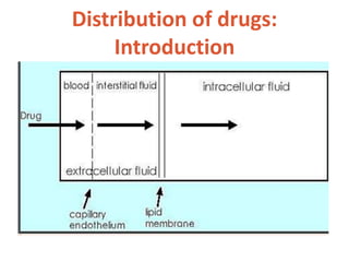 Drug Distribution | PDF