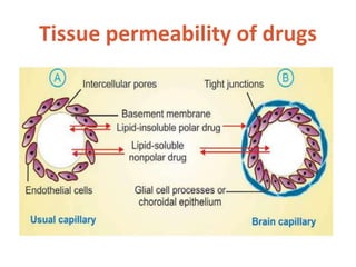 Drug Distribution | PDF