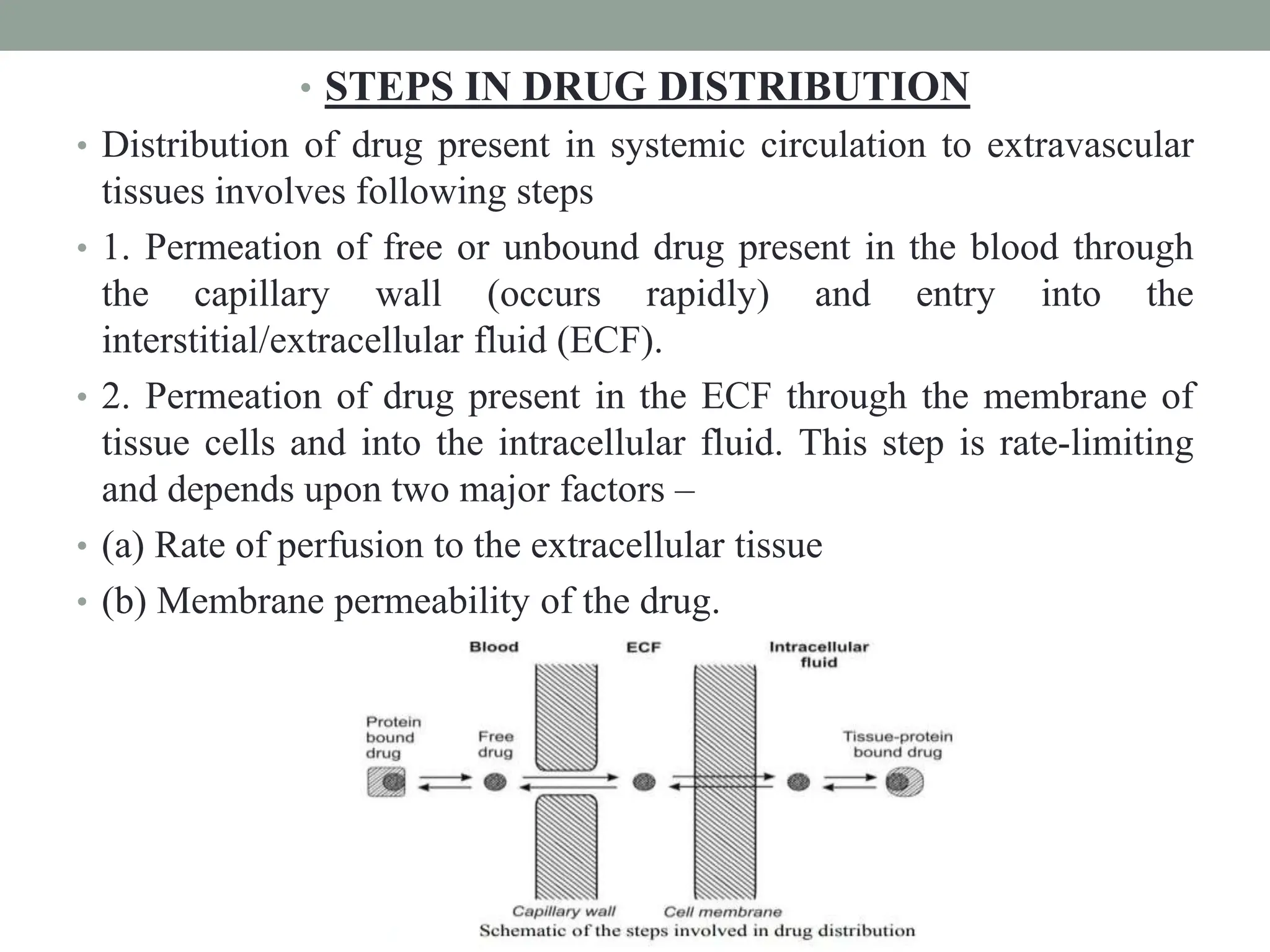 DRUG DISTRIBUTION BIOPHARMACEUTICS AND PHARMACOKINETICS | PPTX