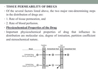 DRUG DISTRIBUTION BIOPHARMACEUTICS AND PHARMACOKINETICS | PPTX