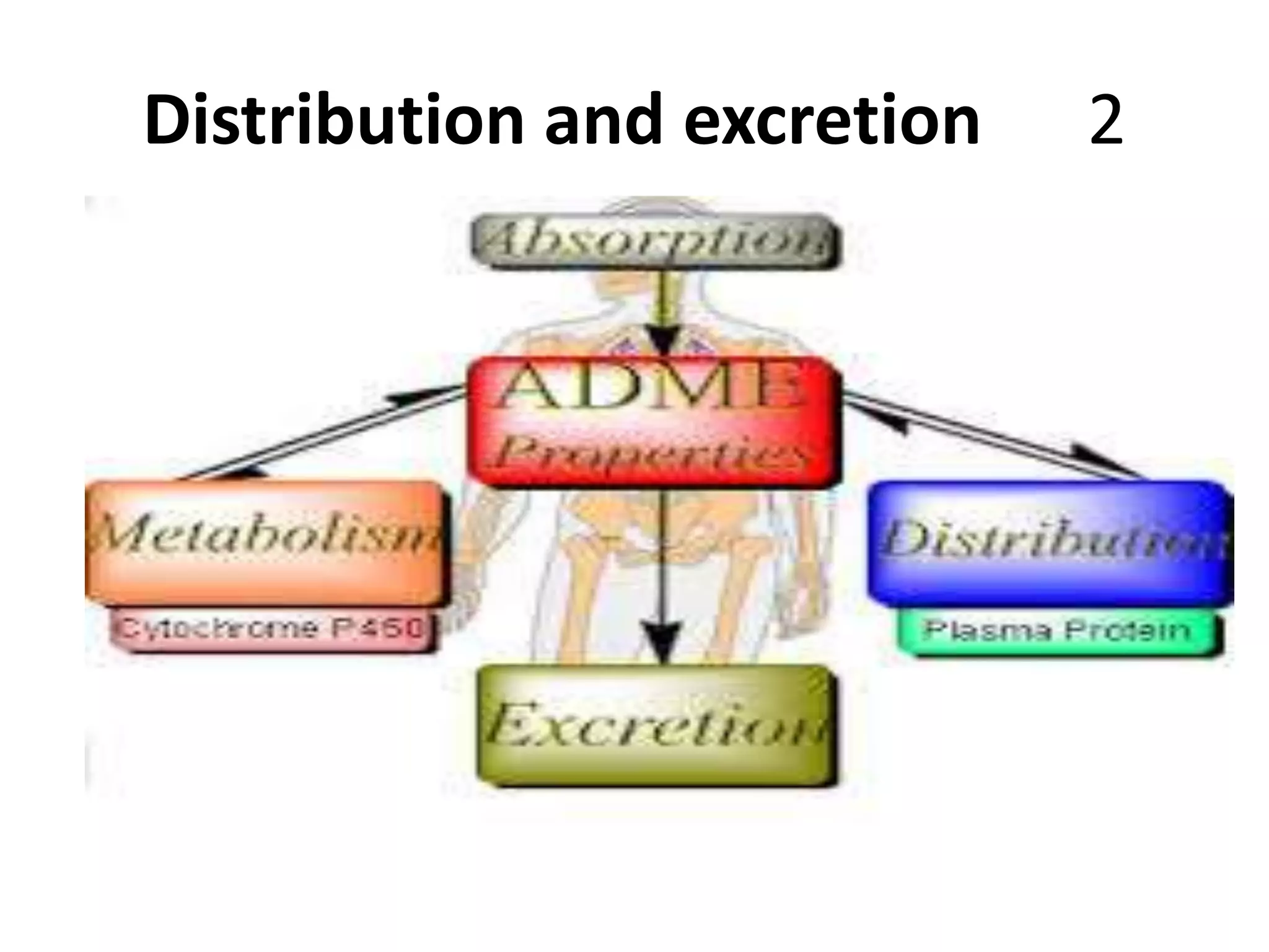Drug distribution and excreation | PPTX