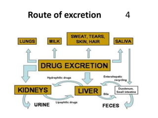 Drug distribution and excreation | PPTX