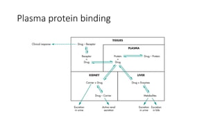 Drug distribution and its clinical significance | PPTX