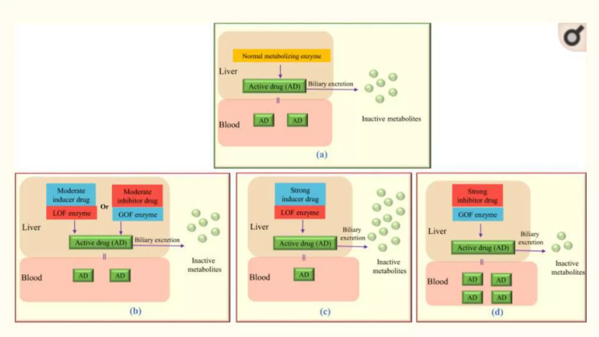 Drug drug gene interactions | PPTX