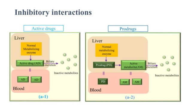 Drug drug gene interactions | PPT