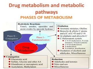 Drug Elimination | PDF