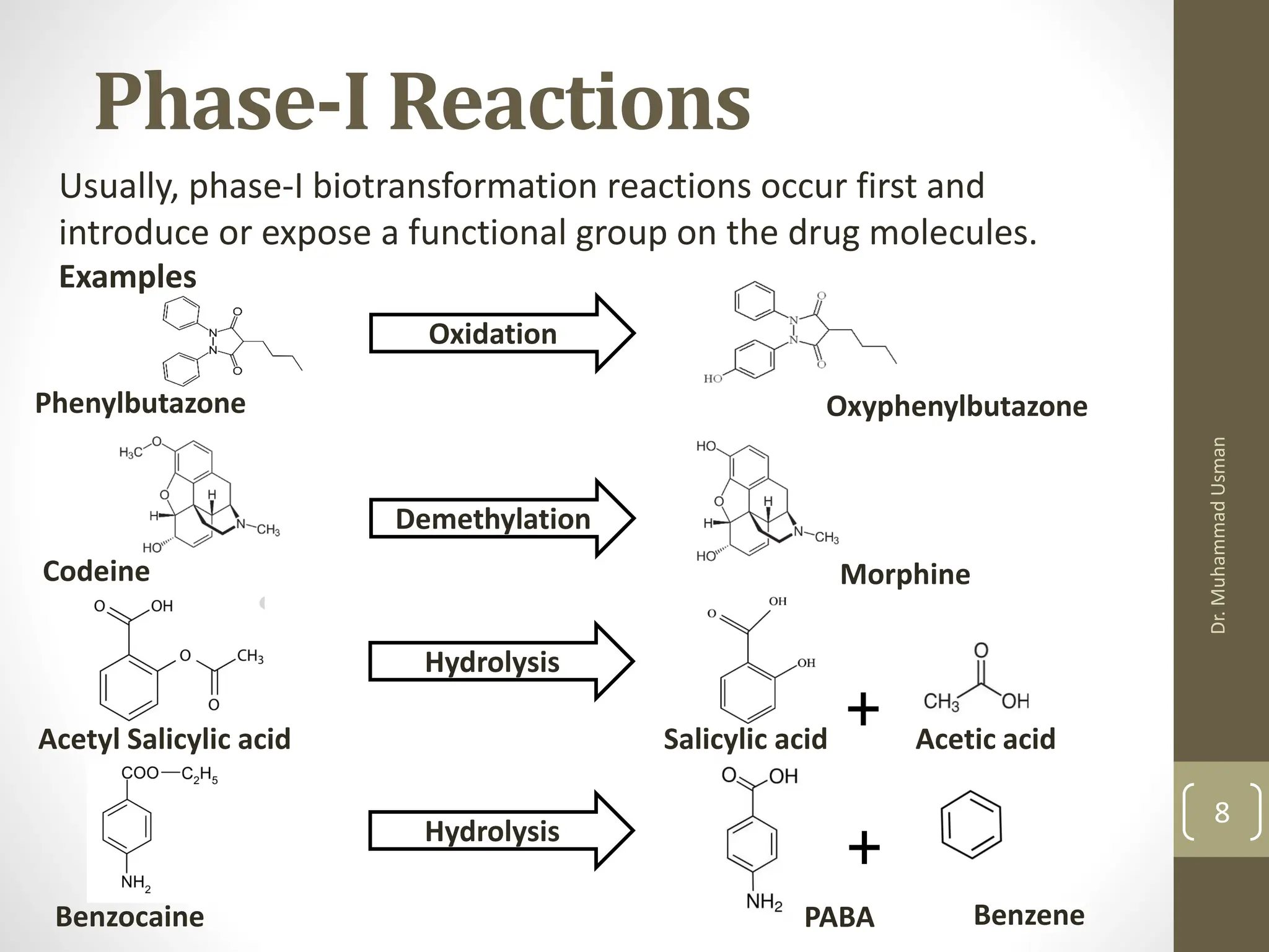 Drug Elimination detail explanation .pdf