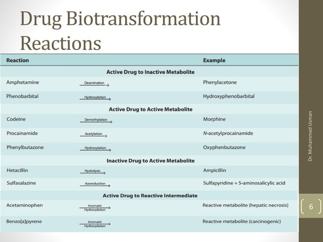 Drug Elimination detail explanation .pdf