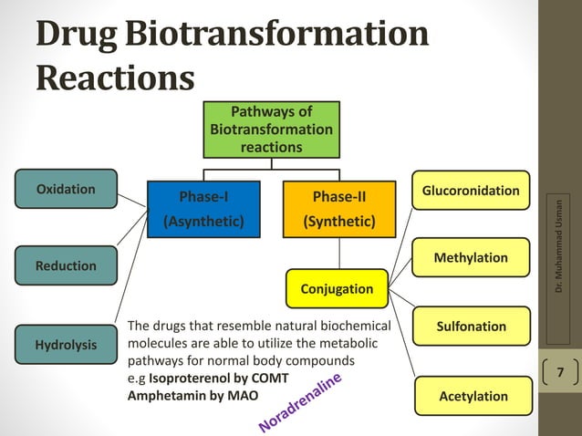 Drug Elimination detail explanation .pdf