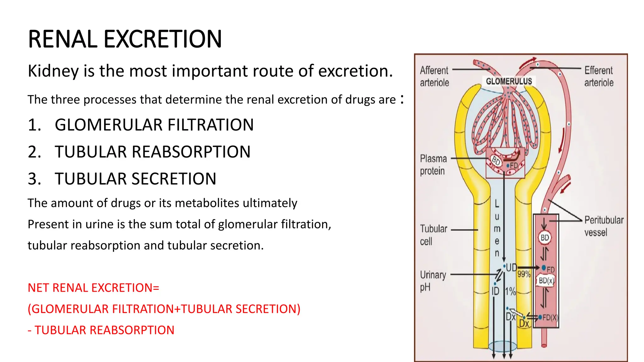 drug elimination kinetics in pharmacology | PDF