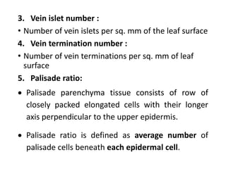 Drug evaluation | PPTX