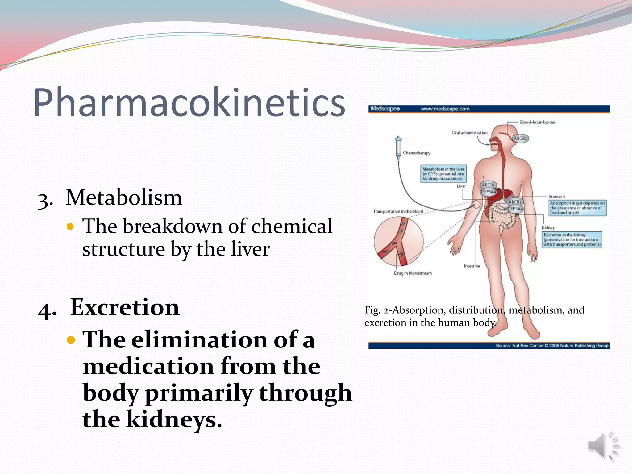 Drug excretion | PPT