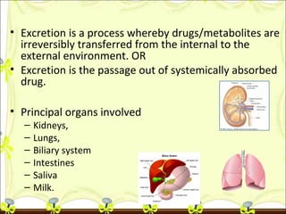 Drug excretion | PPT