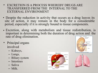Drug Excretion | PPTX
