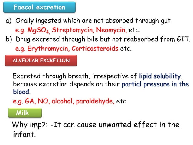 Drug excretion -DM WIMS -7-04-22.pptx