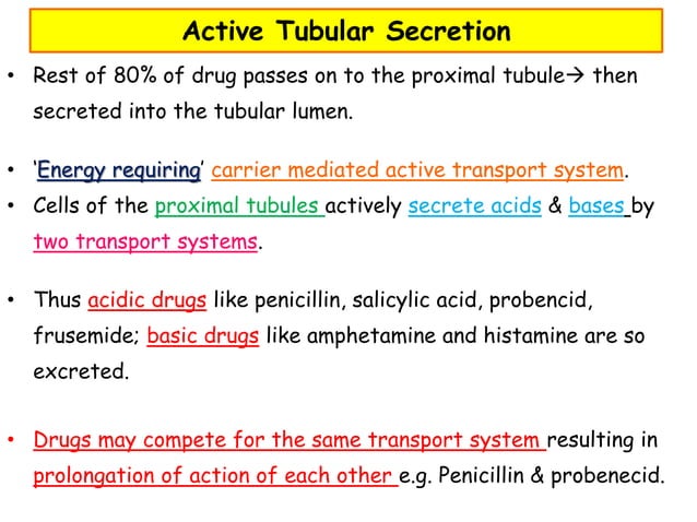 Drug excretion -DM WIMS -7-04-22.pptx