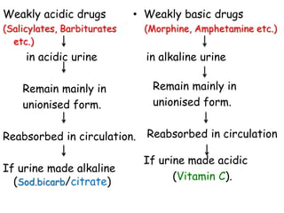 Drug excretion -DM WIMS -7-04-22.pptx