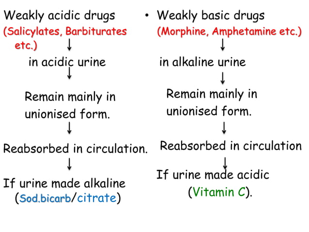 Drug excretion -DM WIMS -7-04-22.pptx