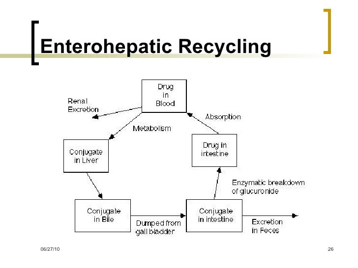Drug excretion lecture 10