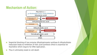 Drug for treatment of pneumocystis | PPTX