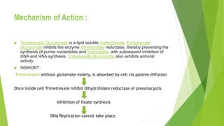 Drug for treatment of pneumocystis | PPT