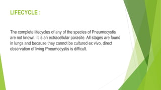 Drug for treatment of pneumocystis | PPTX