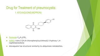 Drug for treatment of pneumocystis | PPT