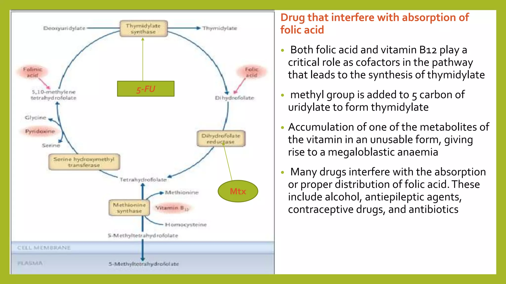 Drug induced bone marrow suppression | PPTX