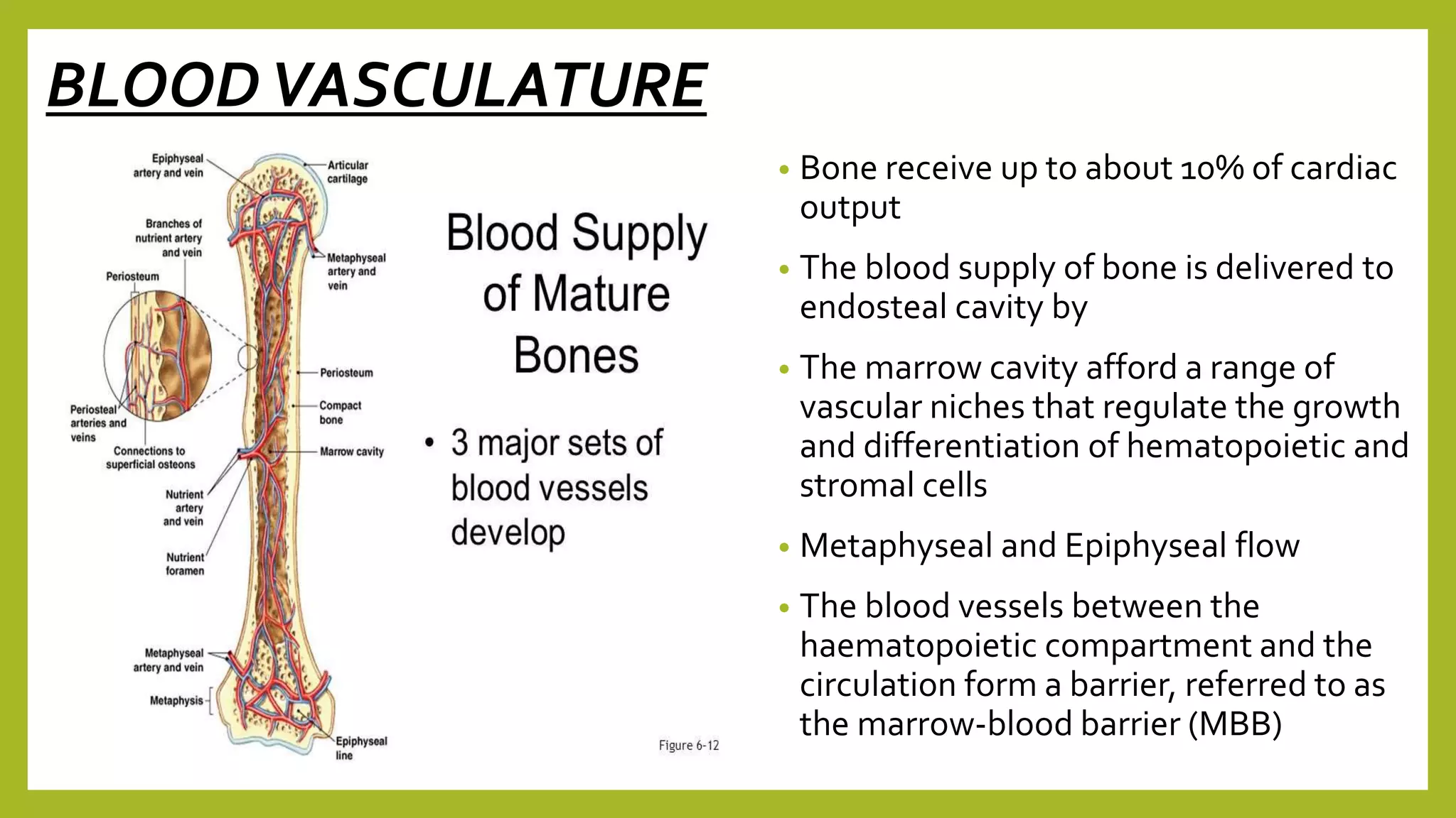 Drug induced bone marrow suppression | PPTX