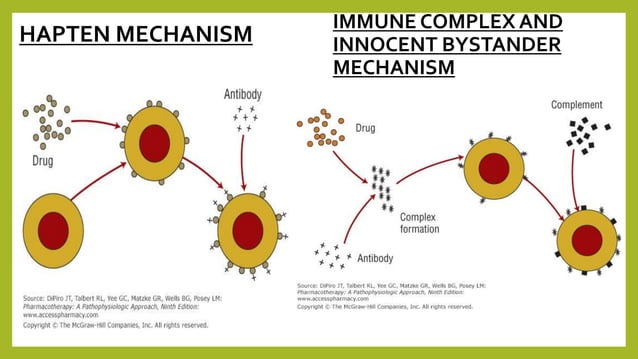 Drug induced bone marrow suppression | PPTX | Bone and Joint Conditions ...