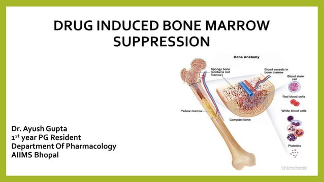 Drug induced bone marrow suppression