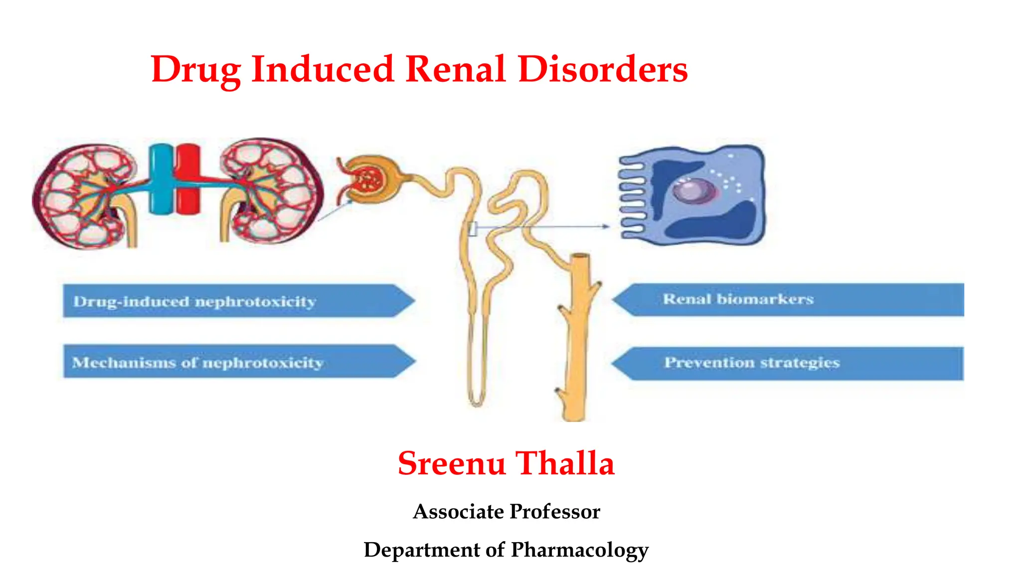 Pharmacotherapy of Drug induced kidney disease.pptx