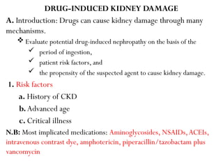 drug induced kidney disease medical presentation (1).pptx