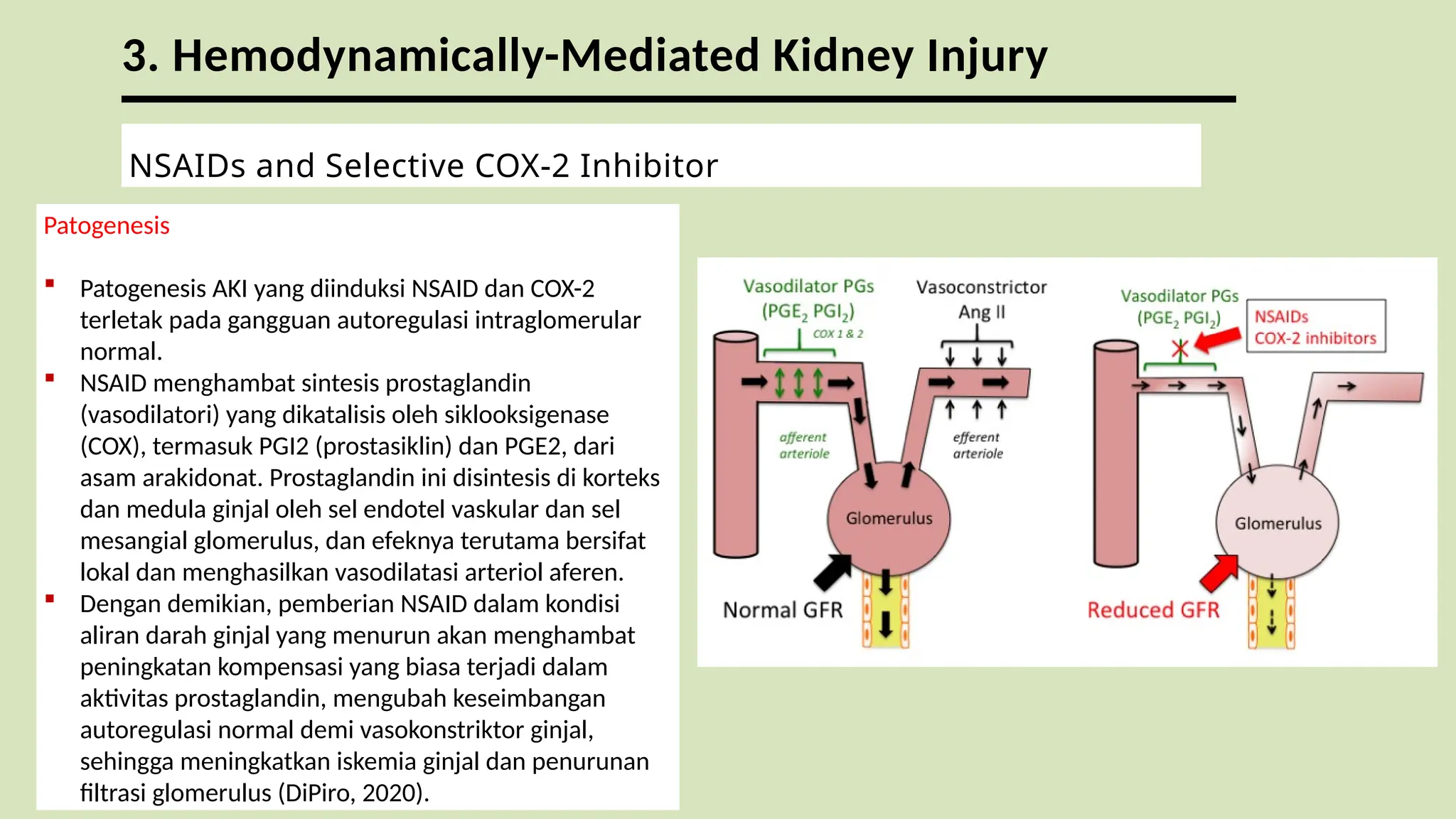 Drug Induced Kidney Injuryyyyyyyyyy.pptx