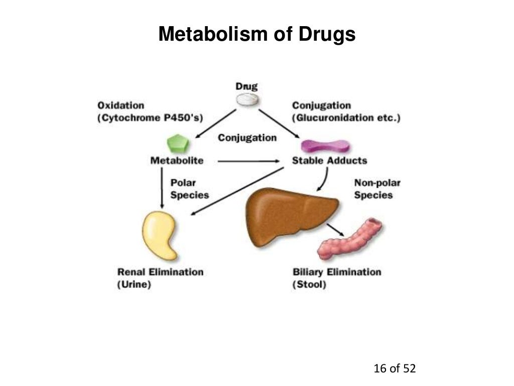 Drug Induced Liver Injury