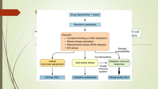 Drug induced liver injury (DILI) | PPTX