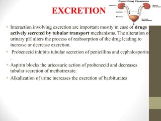 Drug interactions | PDF