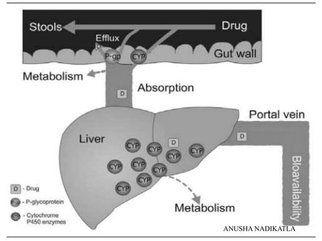 DRUG INTERACTIONS (MECHANISMS OF DRUG-DRUG INTERACTIONS) | PPTX ...