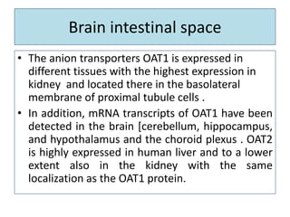 Drug interactions linked to transporters | PPTX