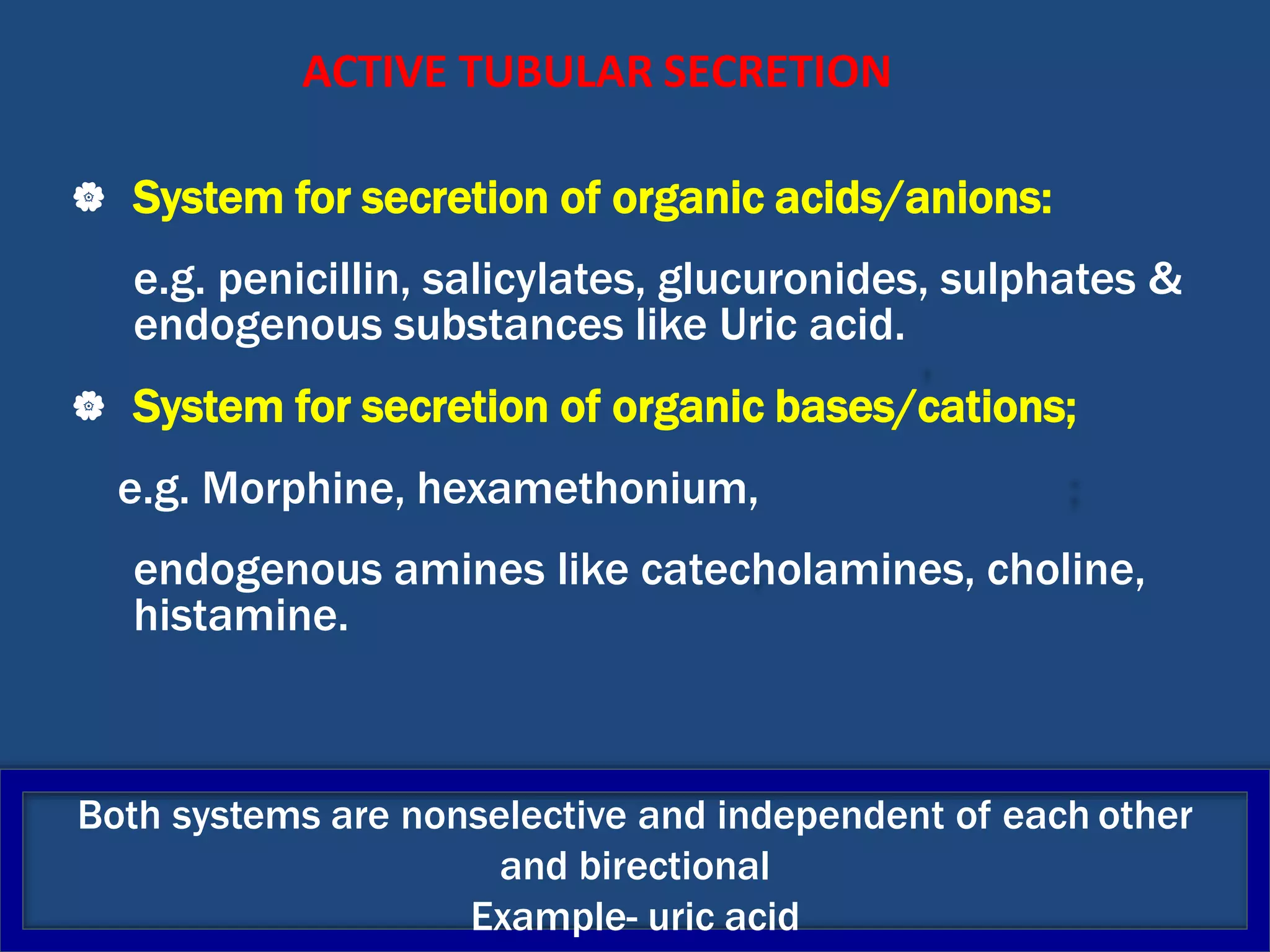 Drug interactions: types & mechanisms | PPTX